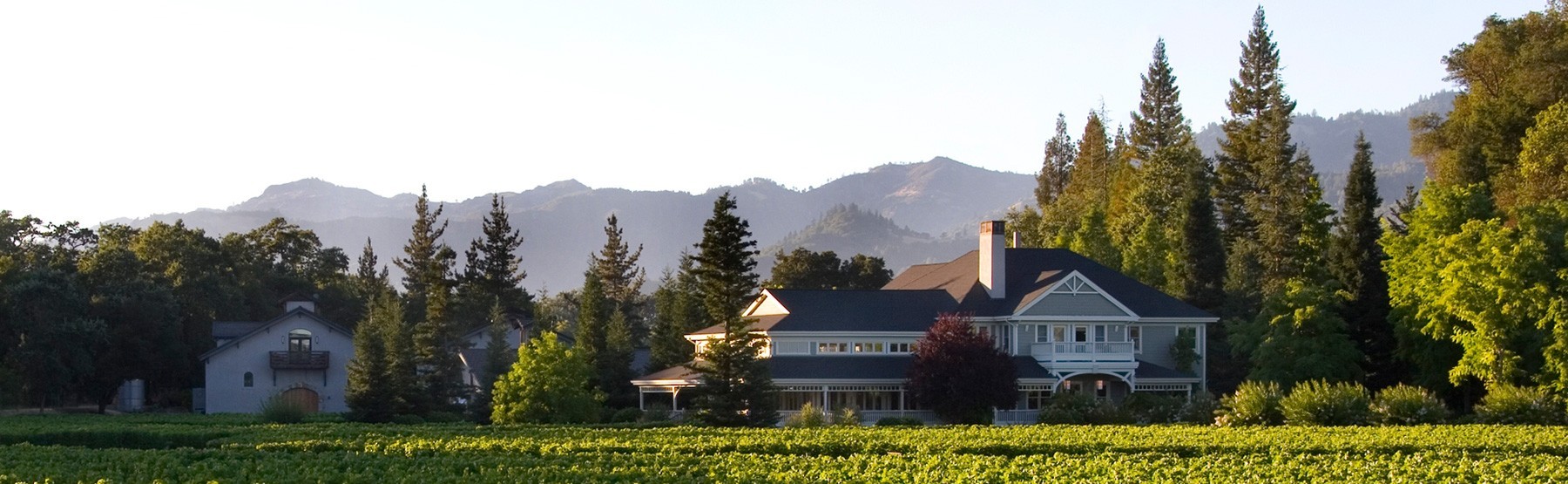 Napa Valley Premier Wines | Duckhorn Vineyards